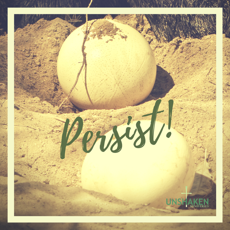 Persist! – A Space for Grace